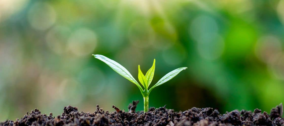 Three ways to grow your business without new clients | face2faceHR